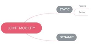 1. Joint Mobility – Internacional Player & Coaches