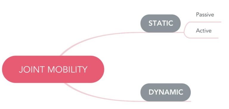 1. Joint Mobility – Internacional Player & Coaches